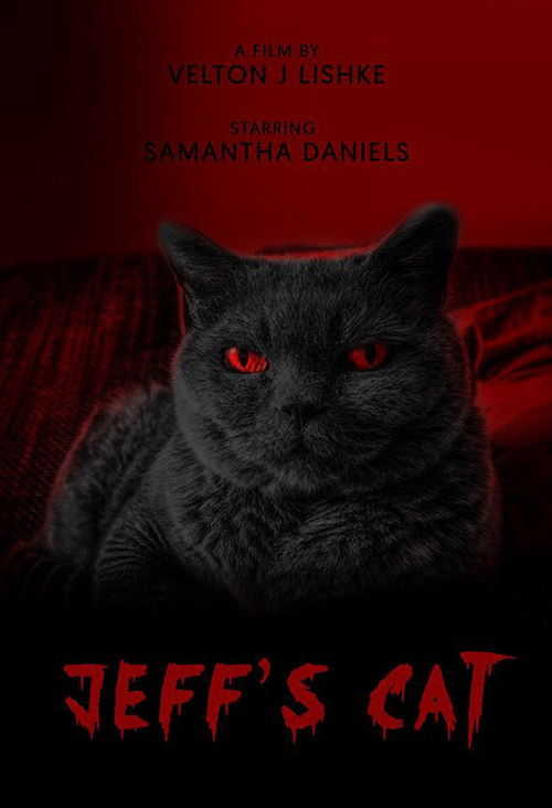 Jeff’s Cat | MyIndie Productions